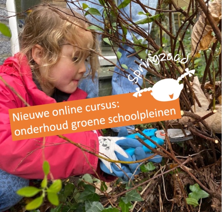 Springzaad: meer ruimte voor natuur en kinderen - Springzaad